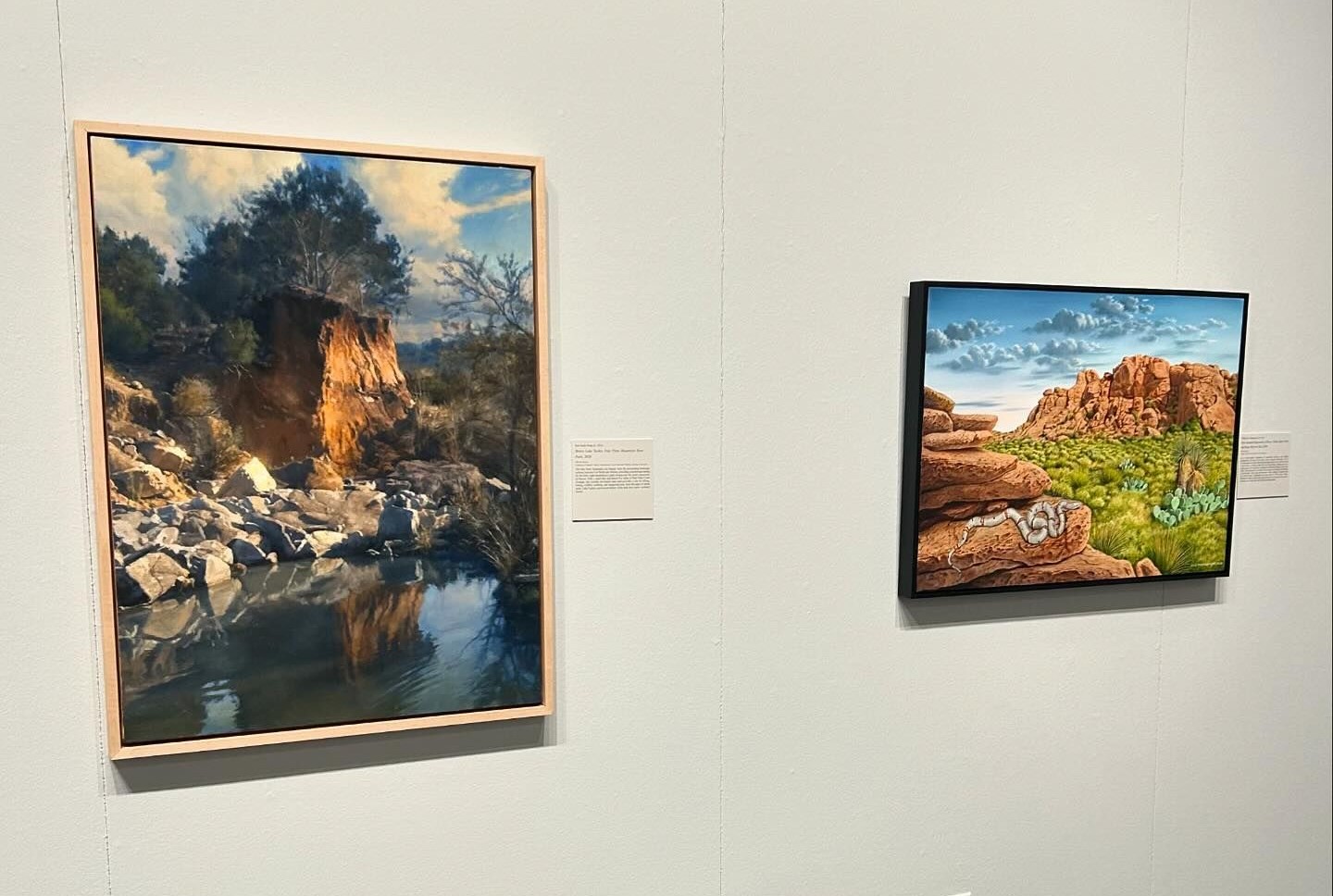 Current Exhibitions – Tyler Museum of Art